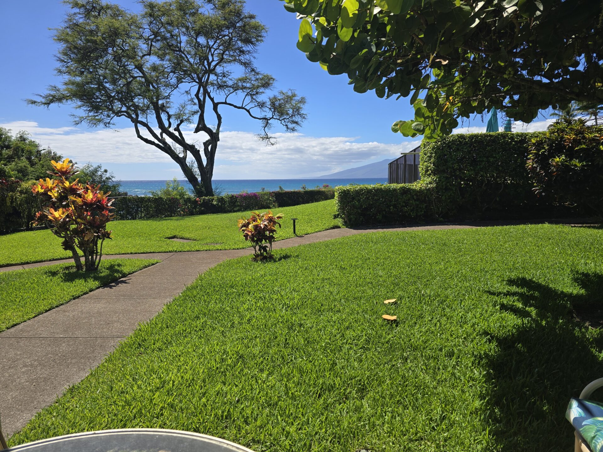 Best Rates – One Bedrooms – Napili Point Resort