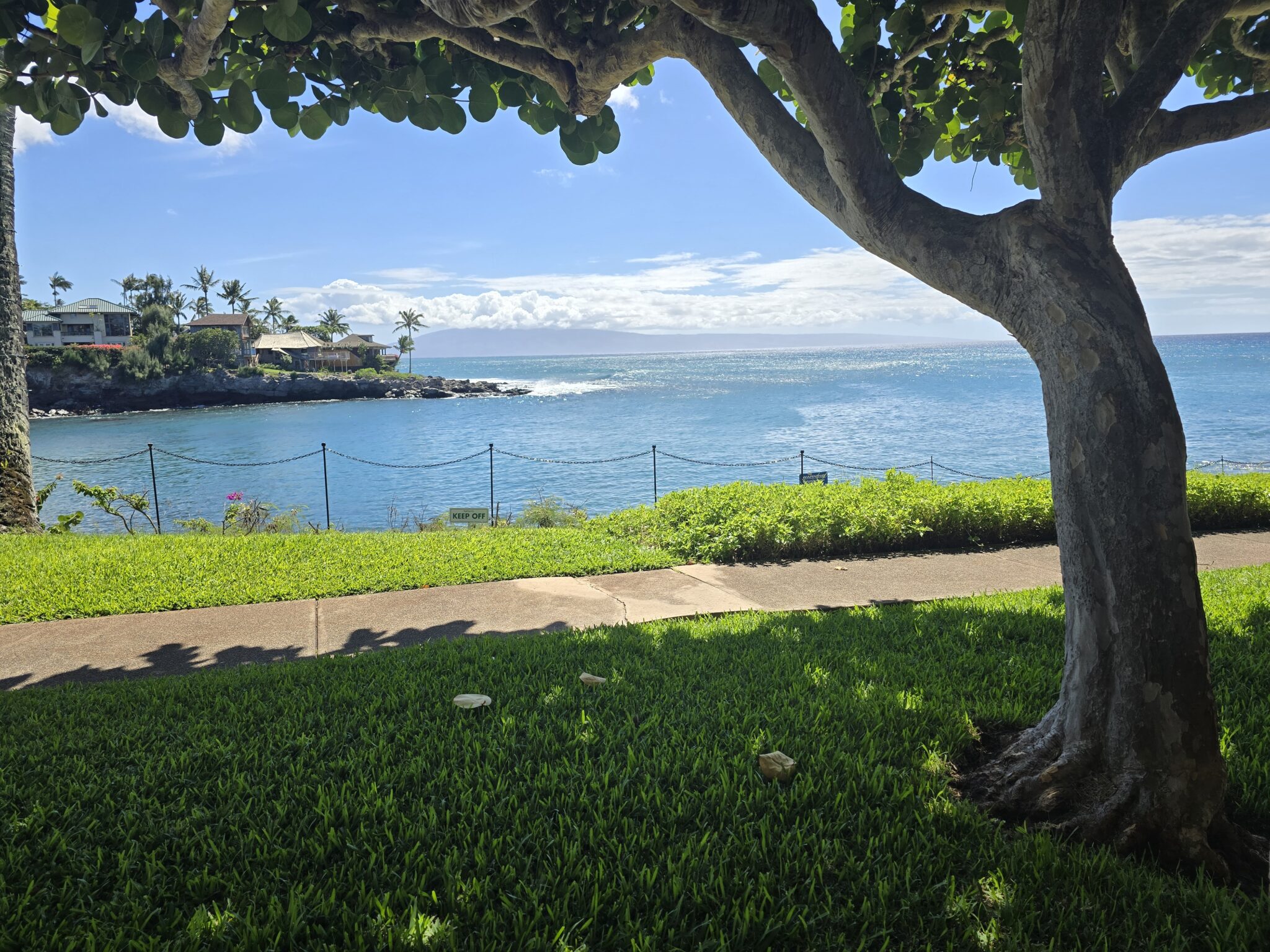 Napili Point Resort