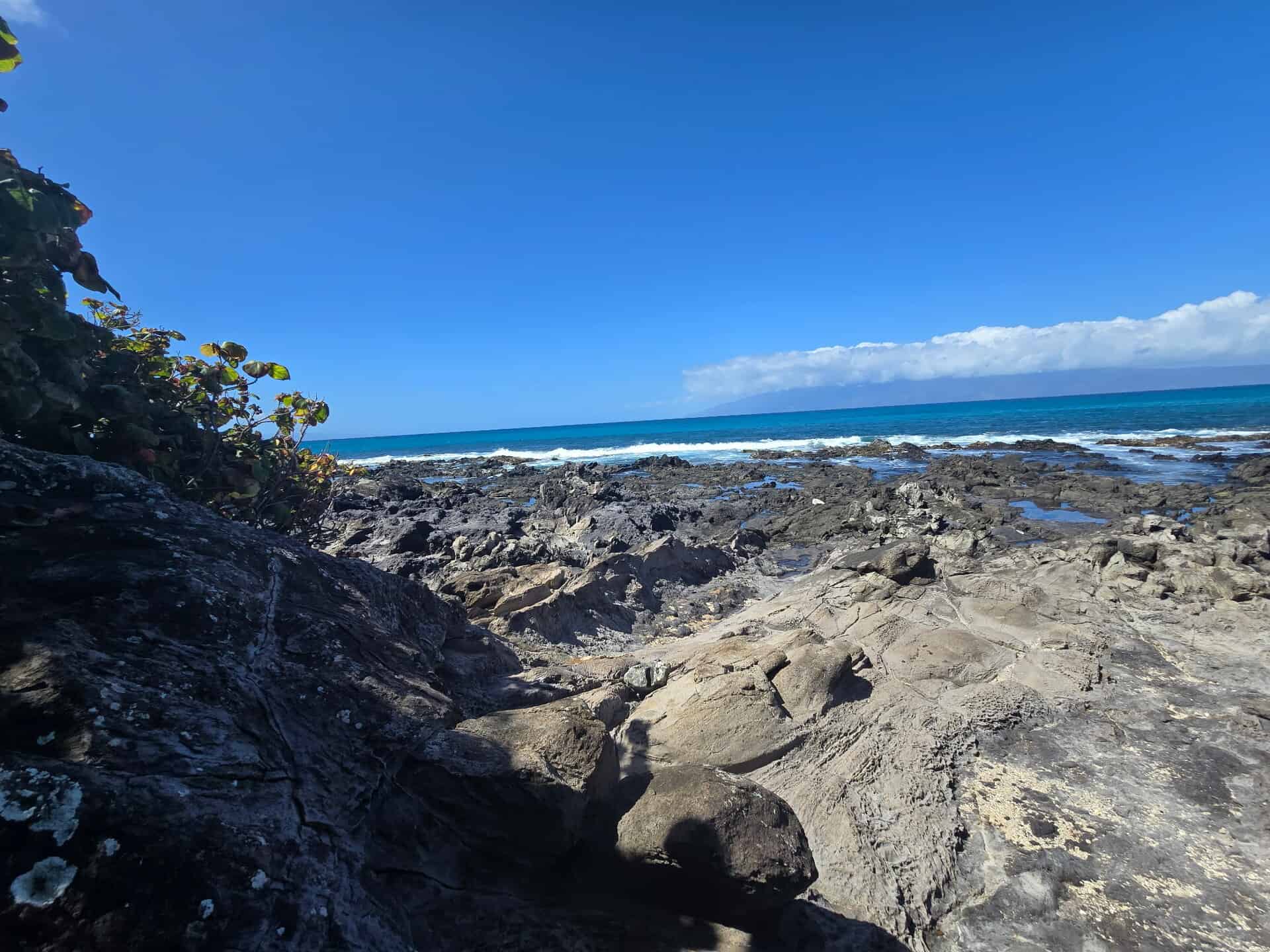 Discover Napili Bay: Moments from Napili Point Resort