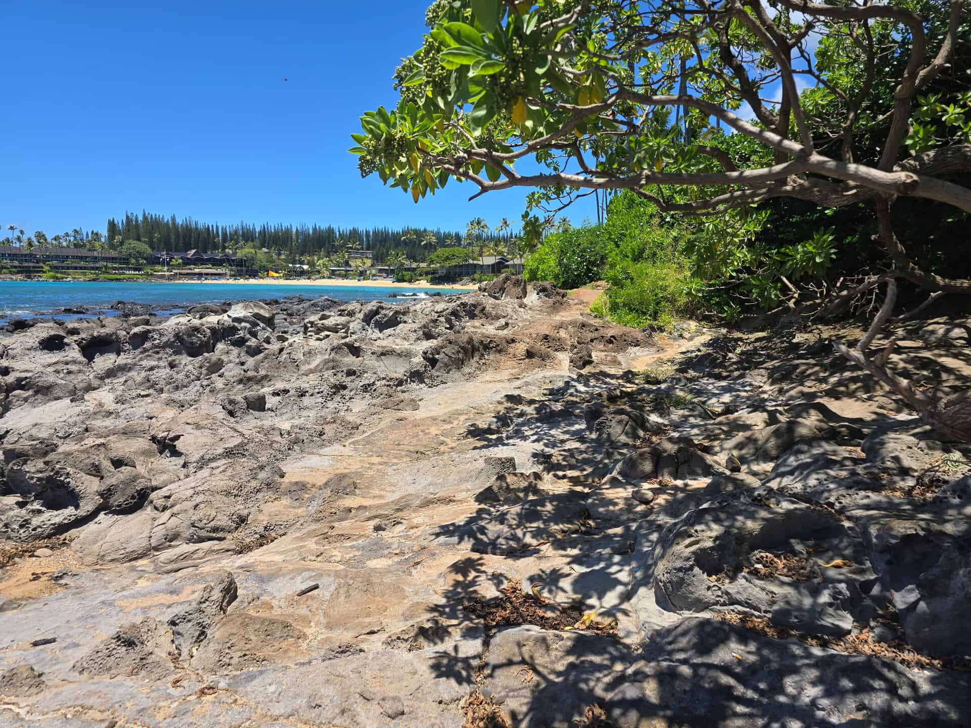 Discover Napili Bay: Moments from Napili Point Resort