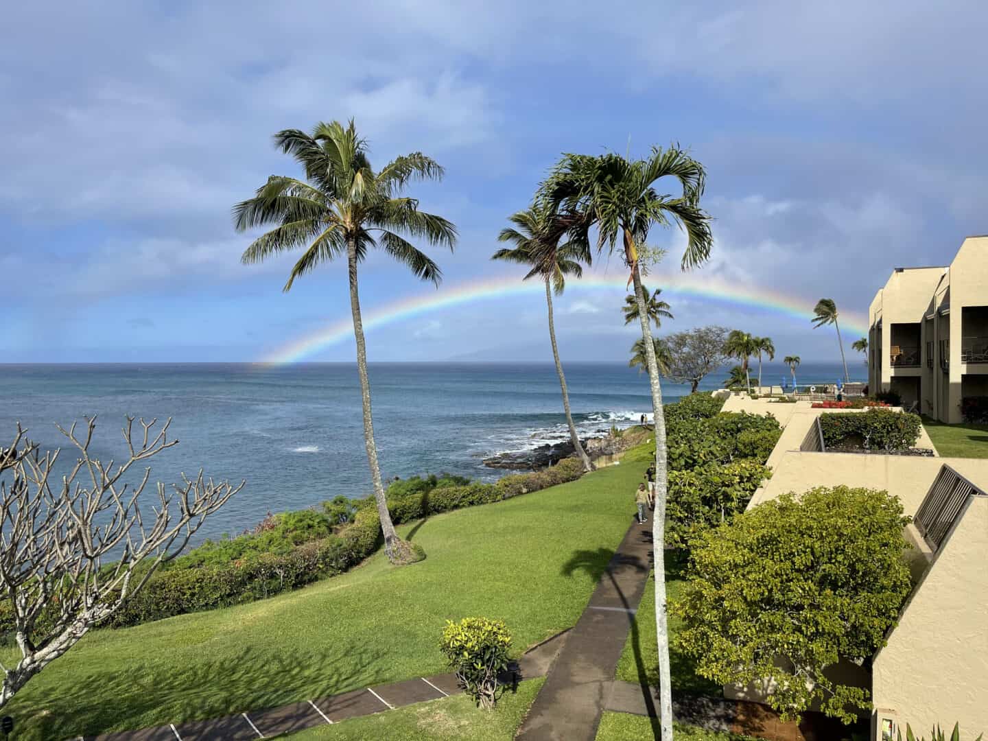 B29 – Napili Point Resort