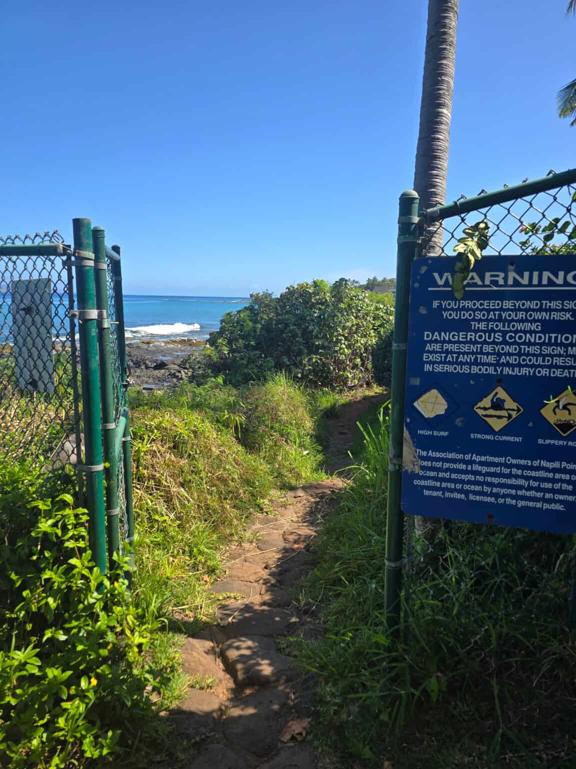 Discover Napili Bay: Moments from Napili Point Resort